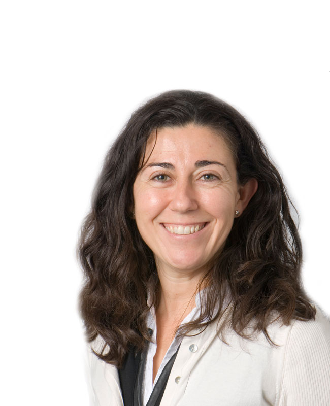 Property Binders | MS Amlin