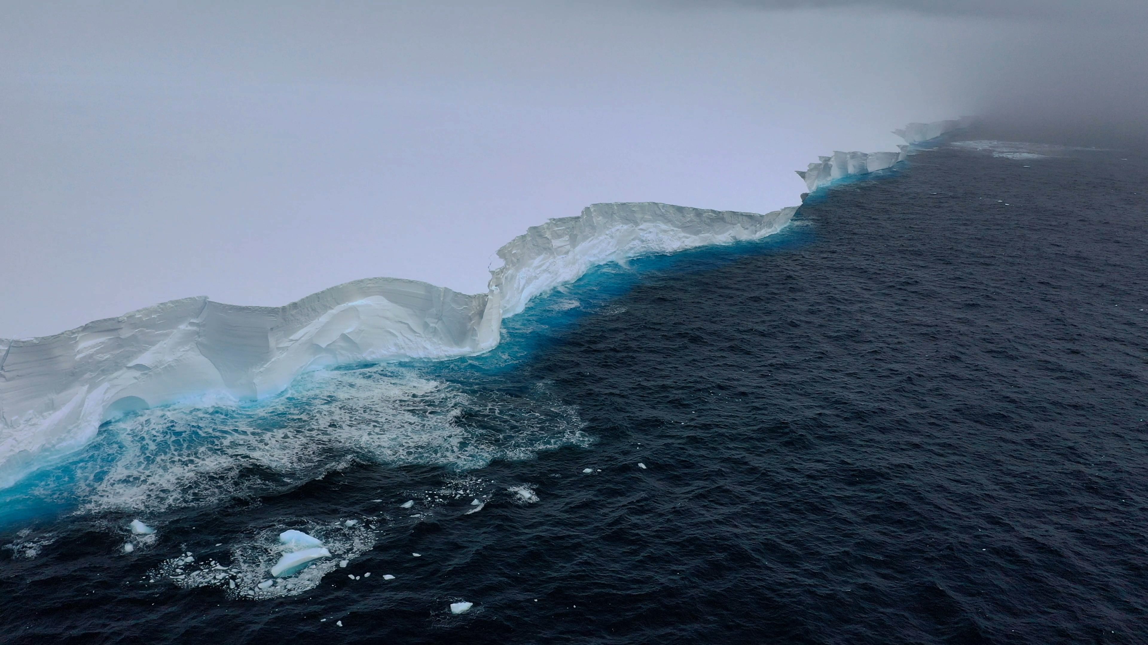 The Monster of the Southern Ocean | MS Amlin